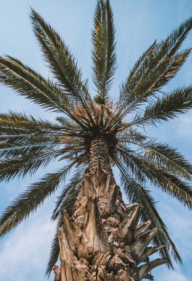 Site Map - Ein Gev Holiday Resort